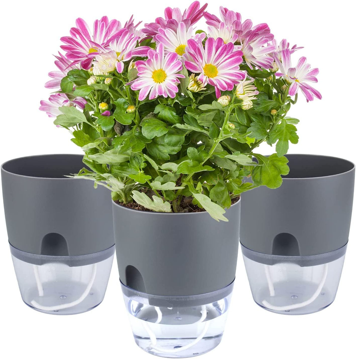 Self Watering Plant Pot – ultramart.pk